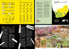 STRAIGHT #01UNDERGROUNDS -CAPE BULB BOOK- | STRAIGHT - THE PUBLISHER OF ...